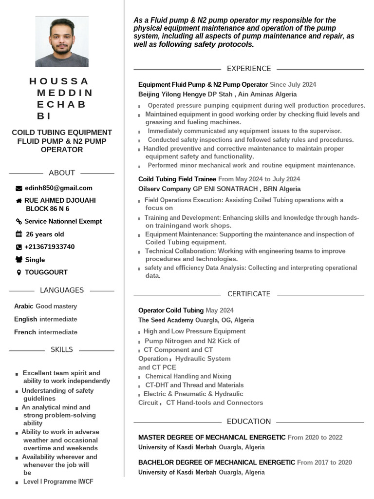 CV 2024-10-13 Houssam Eddine Chabbi | PDF | Pump