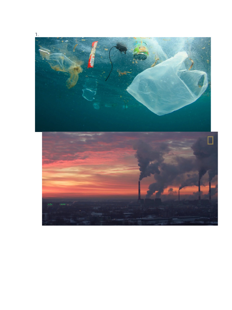 ecology lesson plan | PDF | Reuse | Recycling