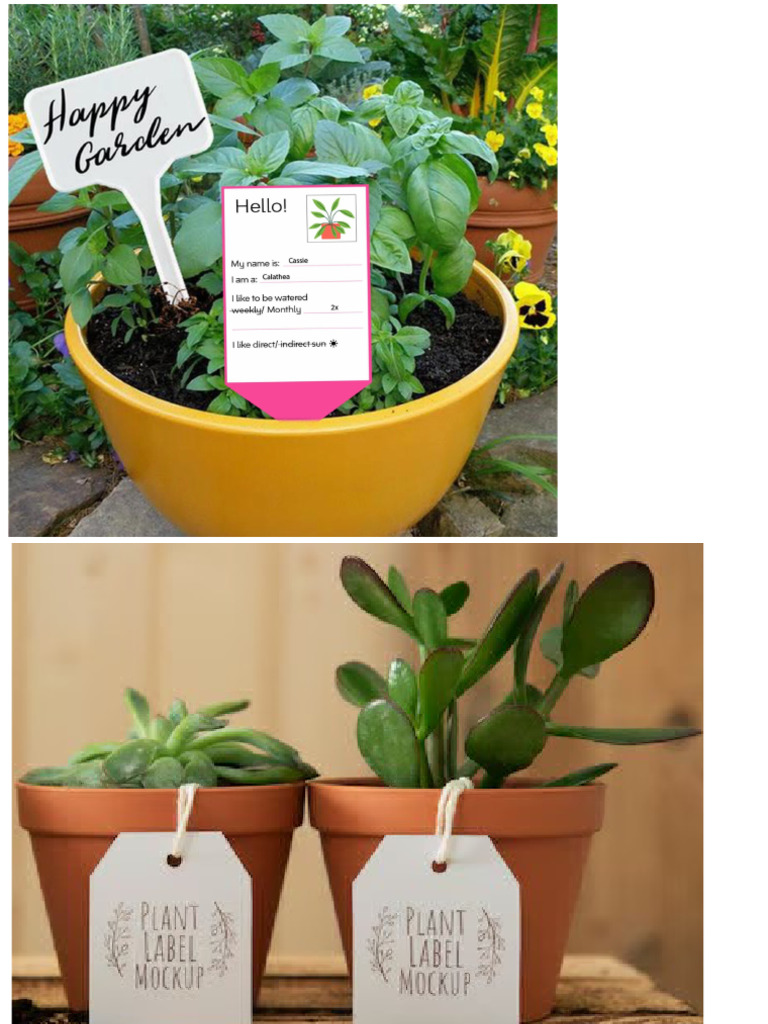 Etiqueta de Una Planta | PDF