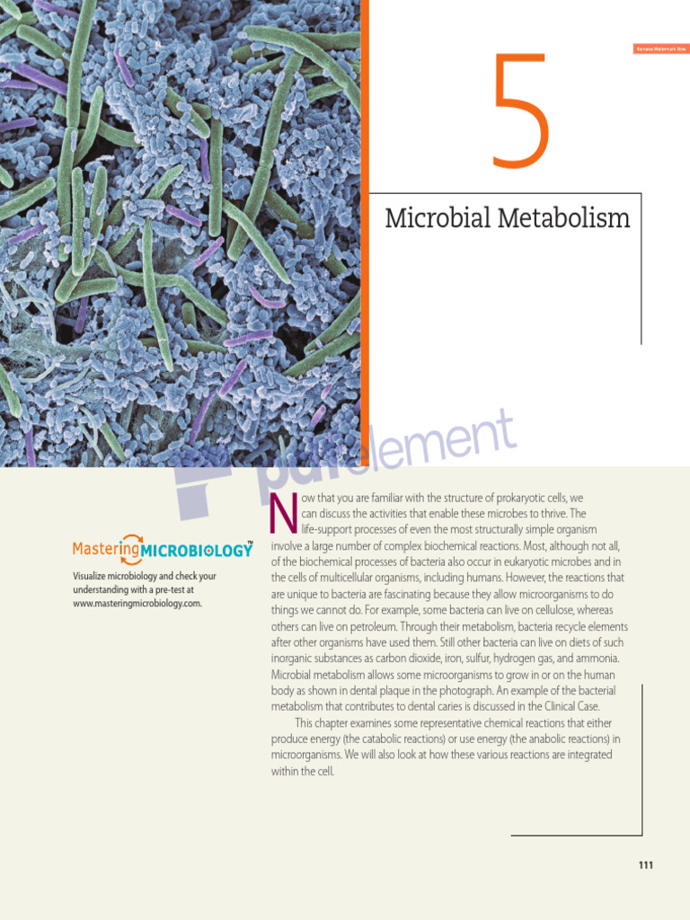 Microbial Metabolism | PDF | Enzyme | Cofactor (Biochemistry)
