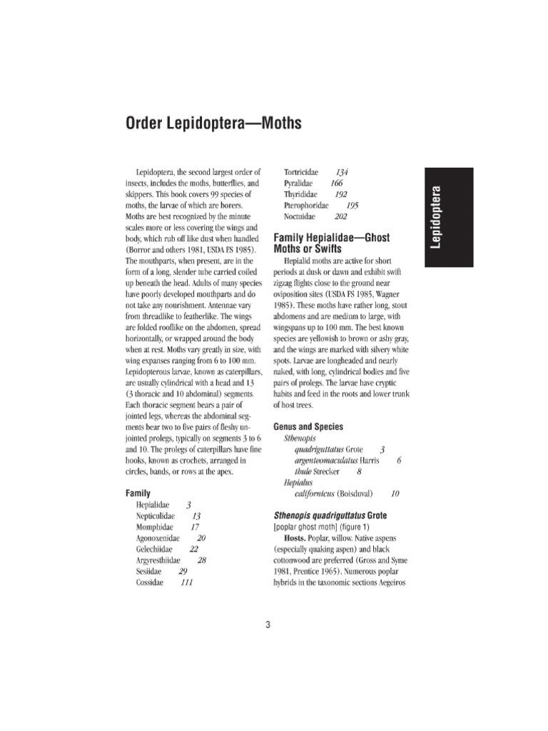 Order Lepidoptera | PDF