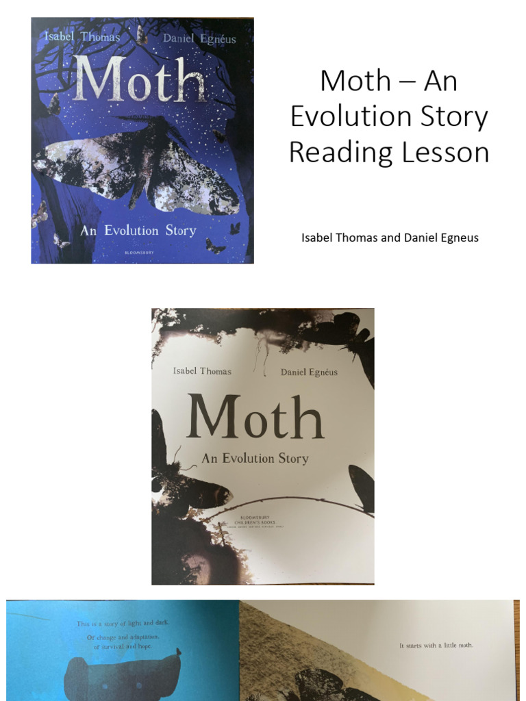 Moth Text | PDF