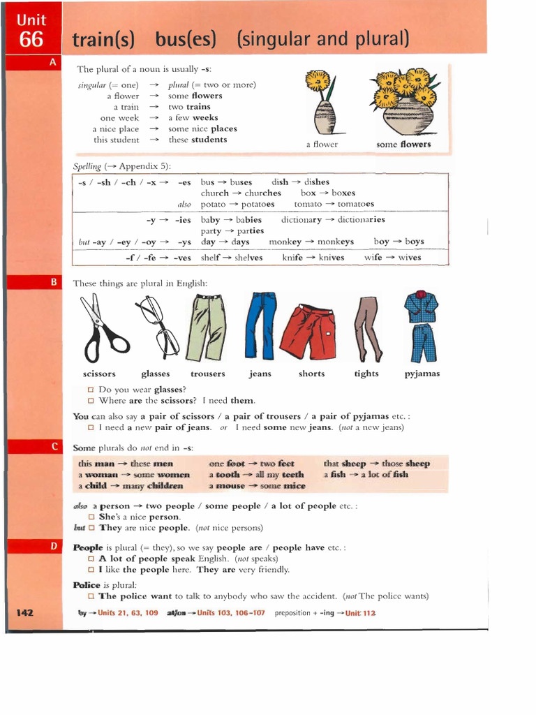 Singular and Plural | PDF