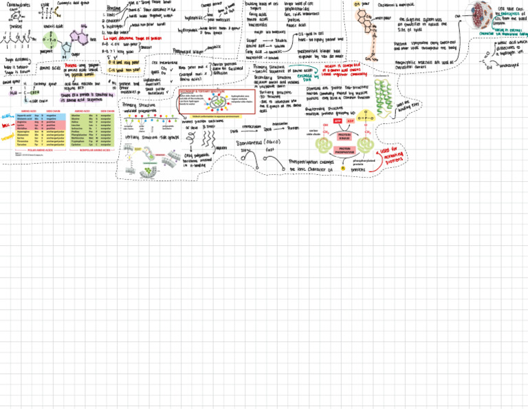 Cheat Sheet | PDF | Lipid | Chemical Polarity