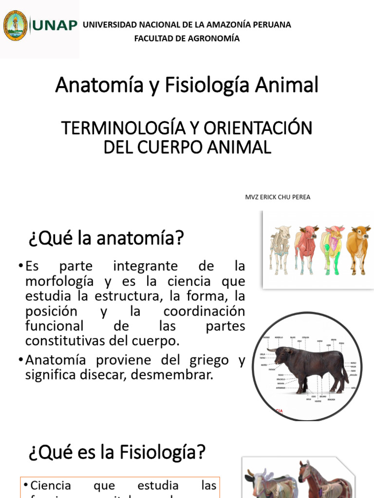 Anatomía y Fisiología de Animales Domésticos | PDF