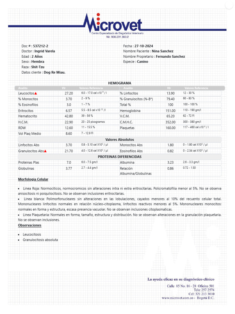 Nina Sanchez Dog Re Miau. HEMOGRAMA Doc 537212 2 | PDF | Especialidades ...
