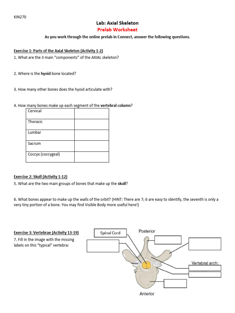 KIN 270 Lab Axial Skeleton PRELAB Worksheet | PDF | Science & Mathematics