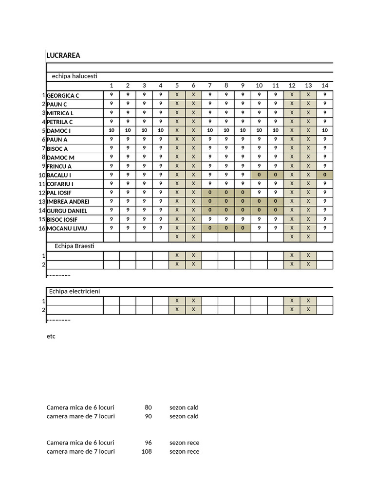 Formular Pontaj+Raport de Lucru | PDF