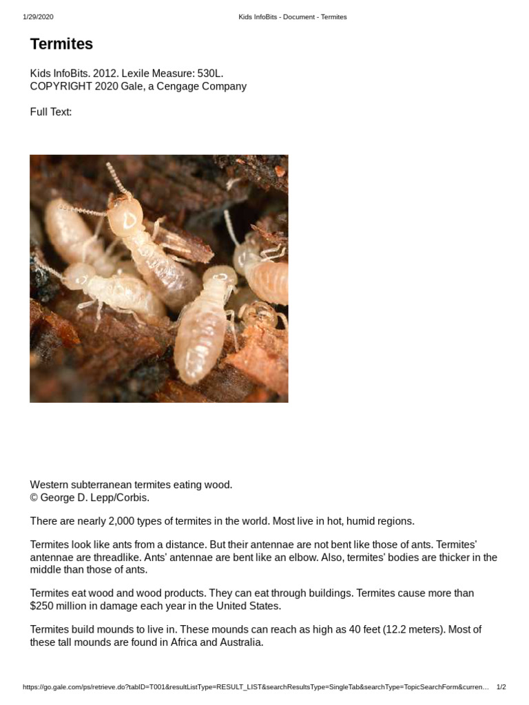 Kids InfoBits - Document - Termites | PDF | Ant | Insects And Humans Kids InfoBits - Document - Termites | PDF | Ant | Insects And Humans