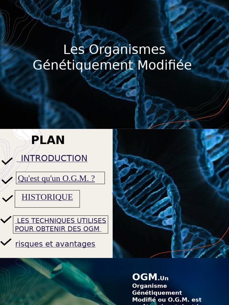 Ogm 2 | PDF | Organisme génétiquement modifié | Mutagénèse