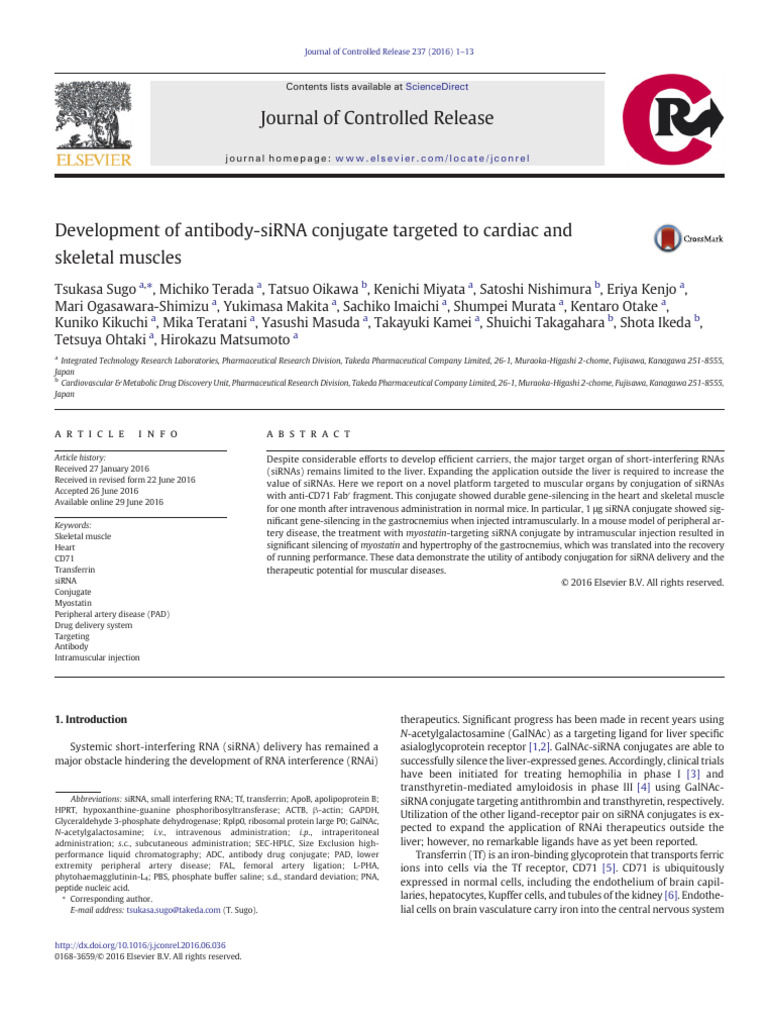 Development of antibody-siRNA Conjugate Targeted To Cardiac and ...