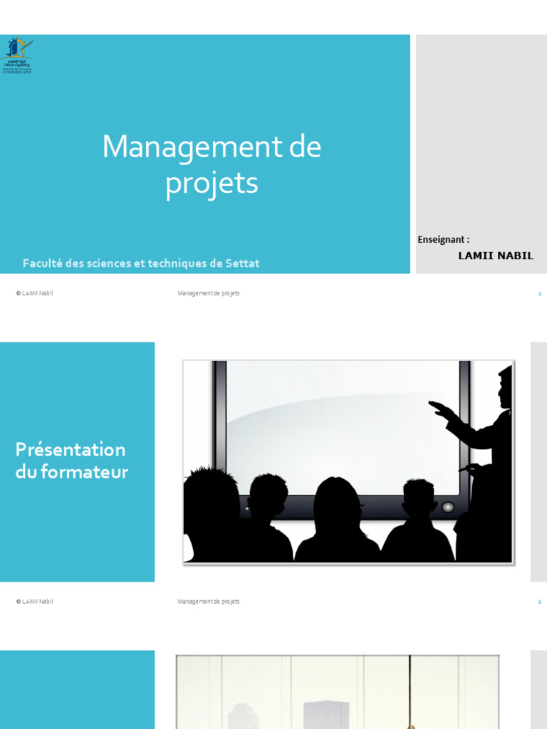 Management de Projets | PDF | Gestion de projet | Partie prenante