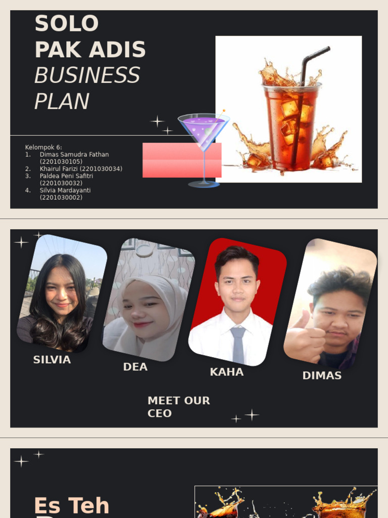 Business Planes Teh | PDF