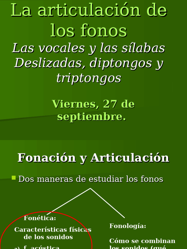 Fonación y Articulación de los Sonidos | PDF | Vocal | Fonética