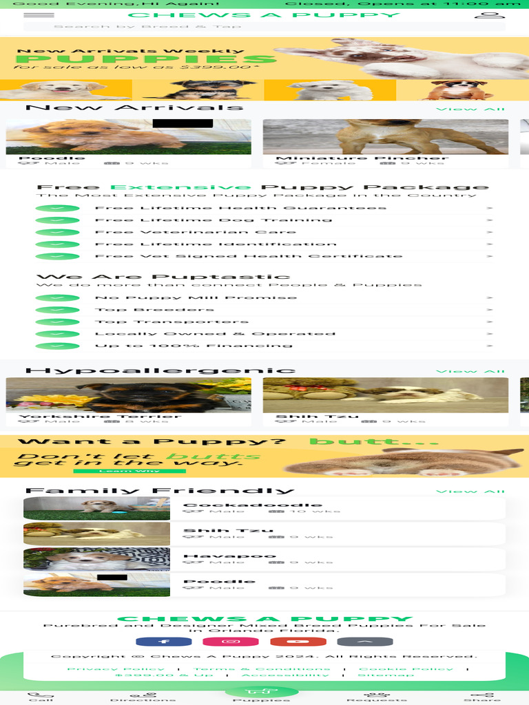 Puppies For Sale - Designer, Purebred, & Hypoallergenic Chews A Puppy | PDF