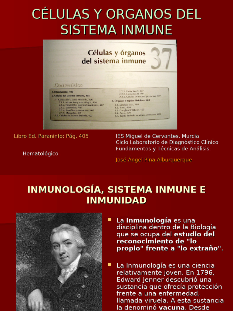 Celulas Del Sistema Inmune | PDF | Linfocitos | Sistema inmune