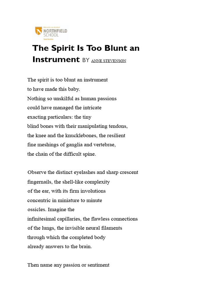 The Spirit Is Too Blunt an Instrument | PDF