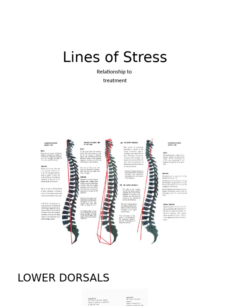 Lines of Stress - Relationship To Treatment | PDF | Vertebra ...