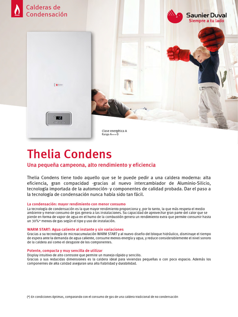 SD Ficha Thelia Condens 2274877 | PDF
