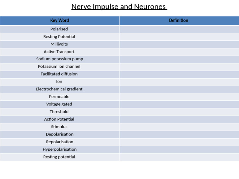 Key Word Sheet | PDF