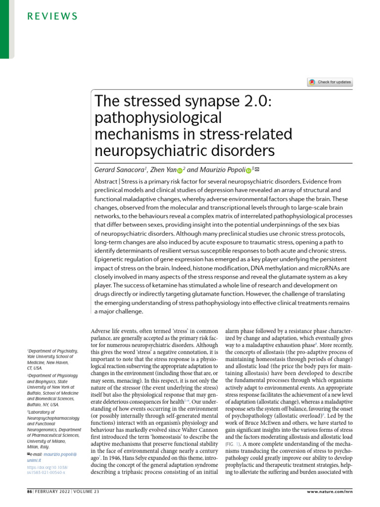 Sanacora Et Al, 2022 - The Stressed Synapses | PDF | Synapse | Reward System