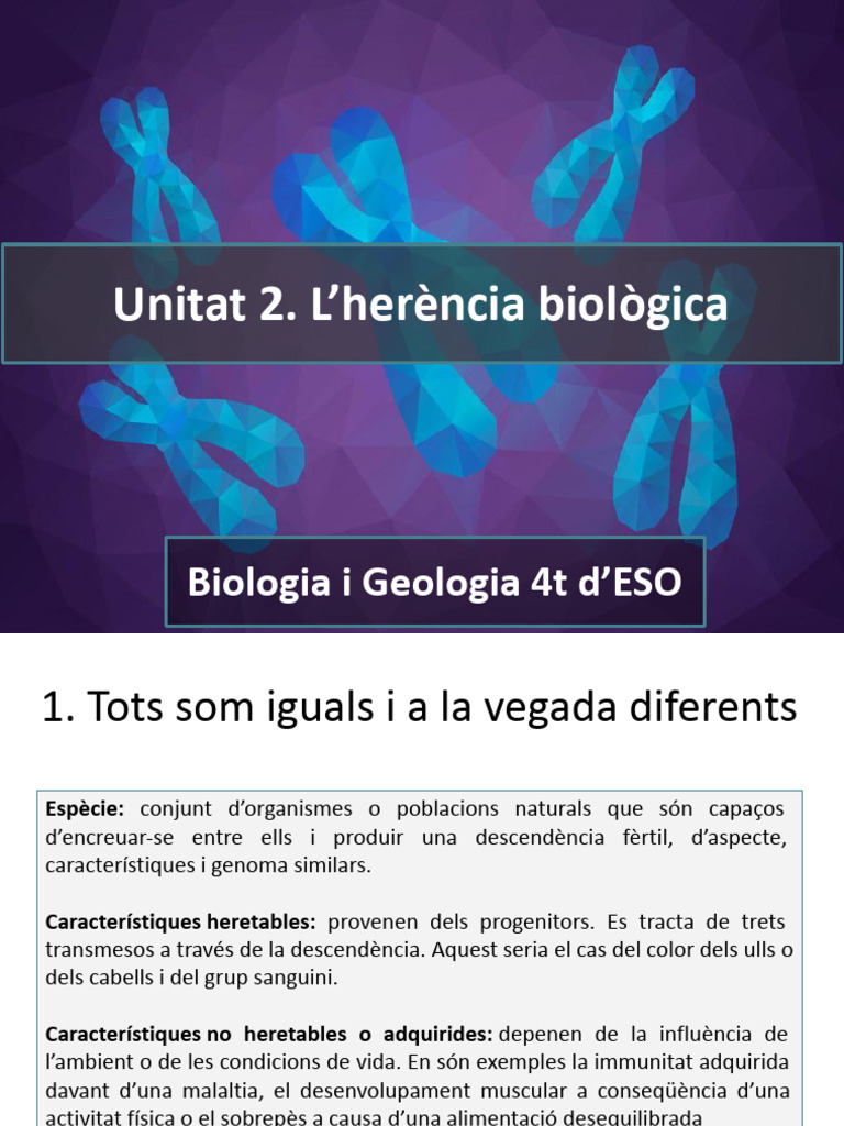 Presentació Unitat 2 | PDF