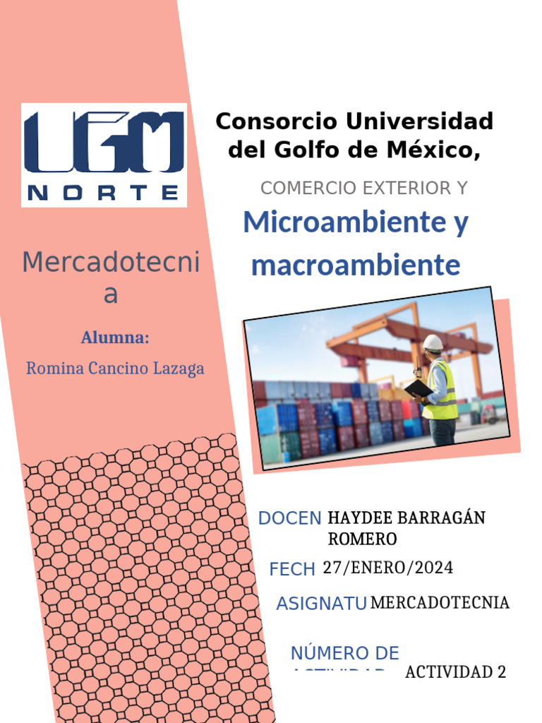 Microambiente y Macroambiente de Una Empresa | PDF | Marketing | Business