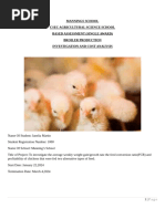 Agricultural Science Sba On Broiler | PDF | Chicken | Poultry Farming