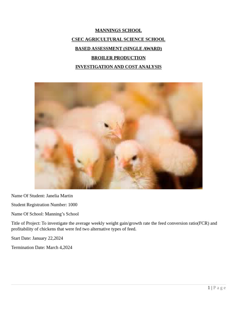 Janelia Martin Agriculture Poultry Sba | PDF | Poultry Farming | Chicken