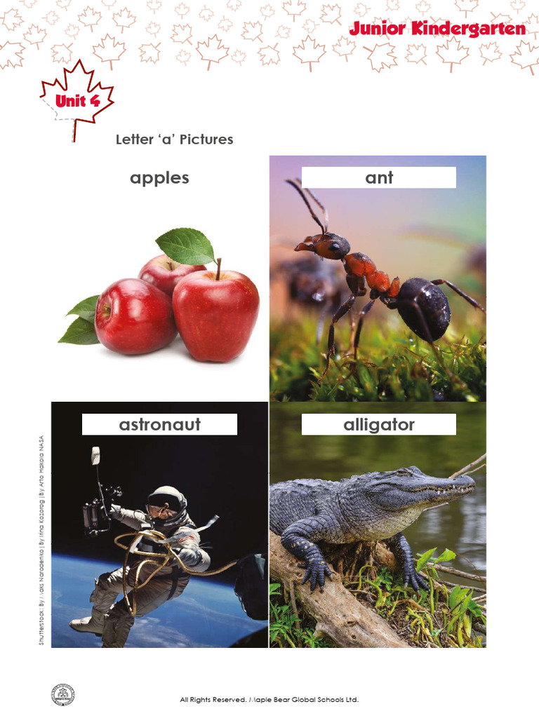 Jolly Jen's Flipcharts for Kids | PDF