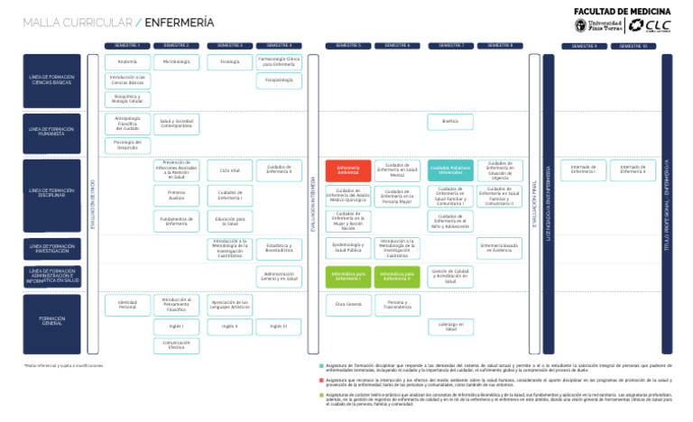 Malla Enfermeria | PDF | Enfermería | Cuidado de la salud