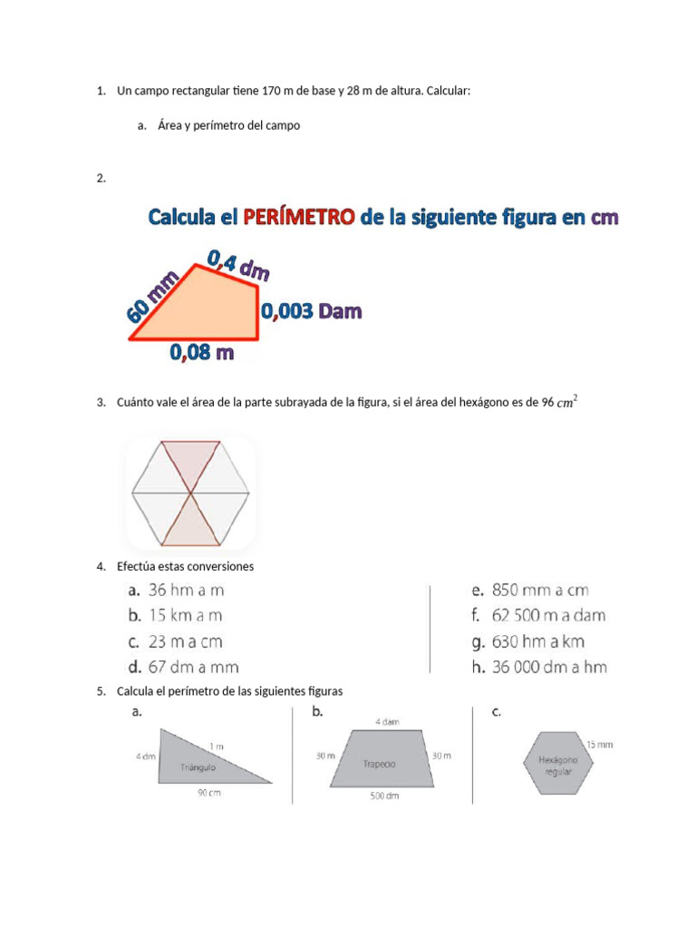 Area y Perimetro de Poligonos | PDF