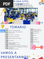Loto Nom-004 | PDF | Administración de Seguridad y Salud Ocupacional