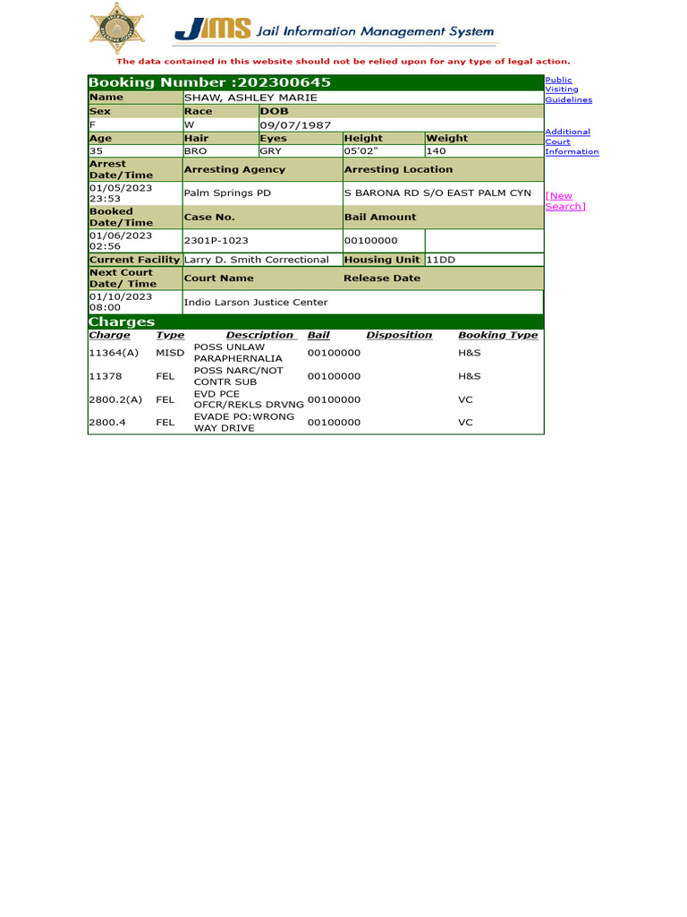Inmate Information System | PDF