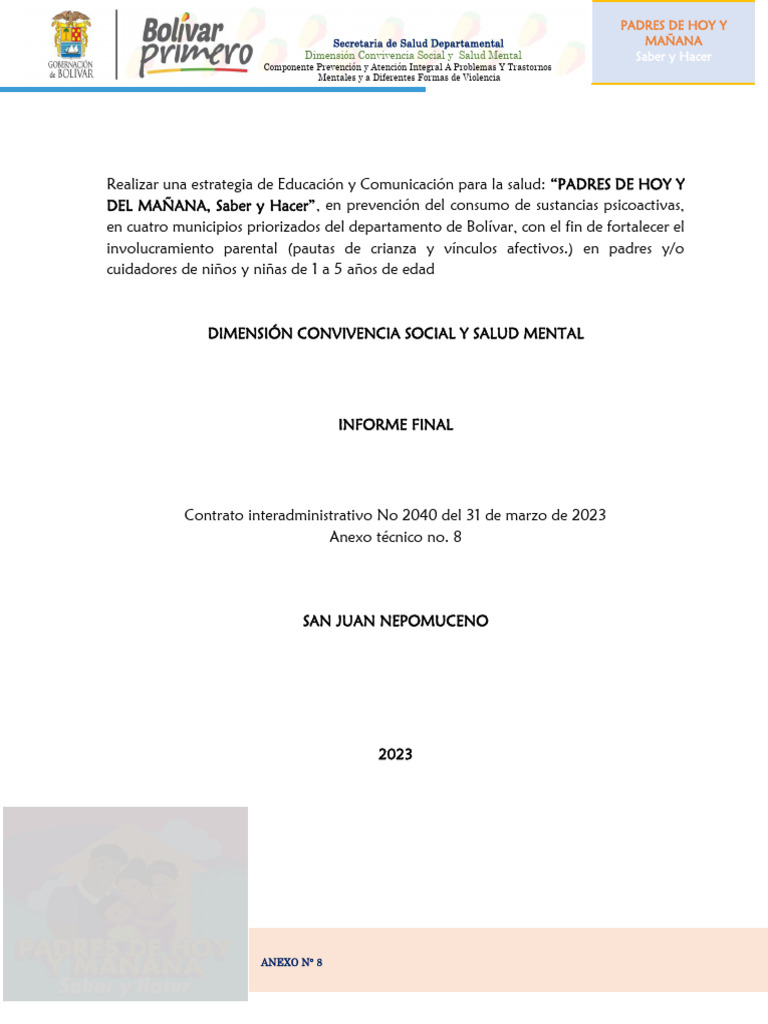 Informe Final Anexo 8. | PDF | Salud mental | Violencia doméstica