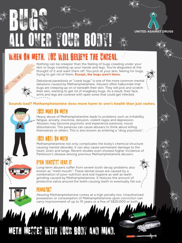 Article Meth Bugs All Over Your Body (Priandsecteens) | PDF | Methamphetamine | Diseases And ...