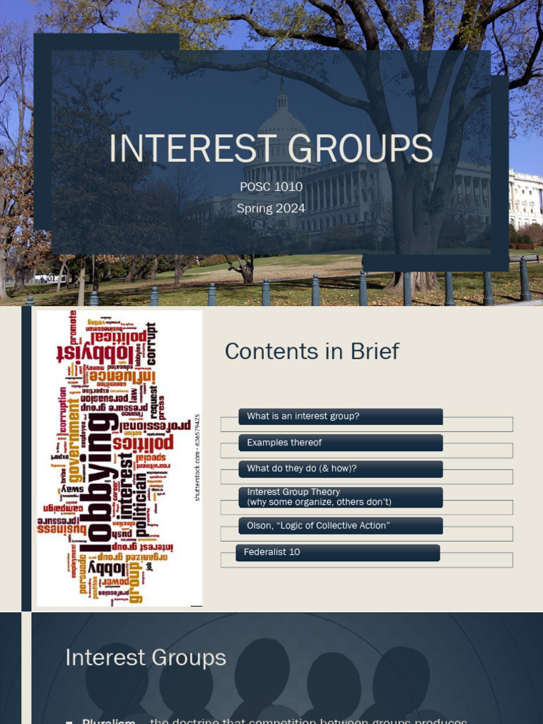 9+-+Interest+Groups | PDF | Taxes | Collective Action