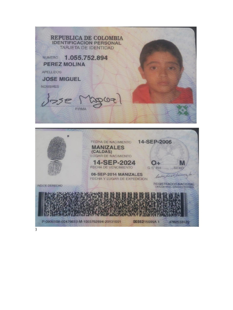 Tarjea de Identidad Miguel | PDF