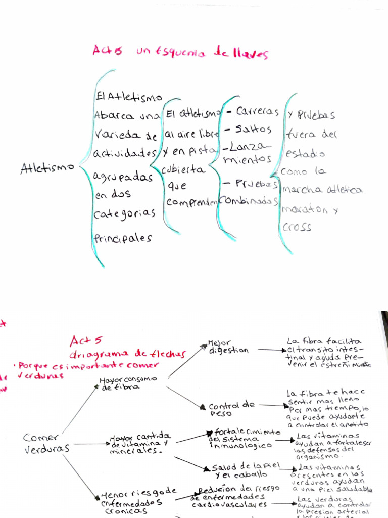 Actividad 5 El Guion Radial y El Esquema | PDF
