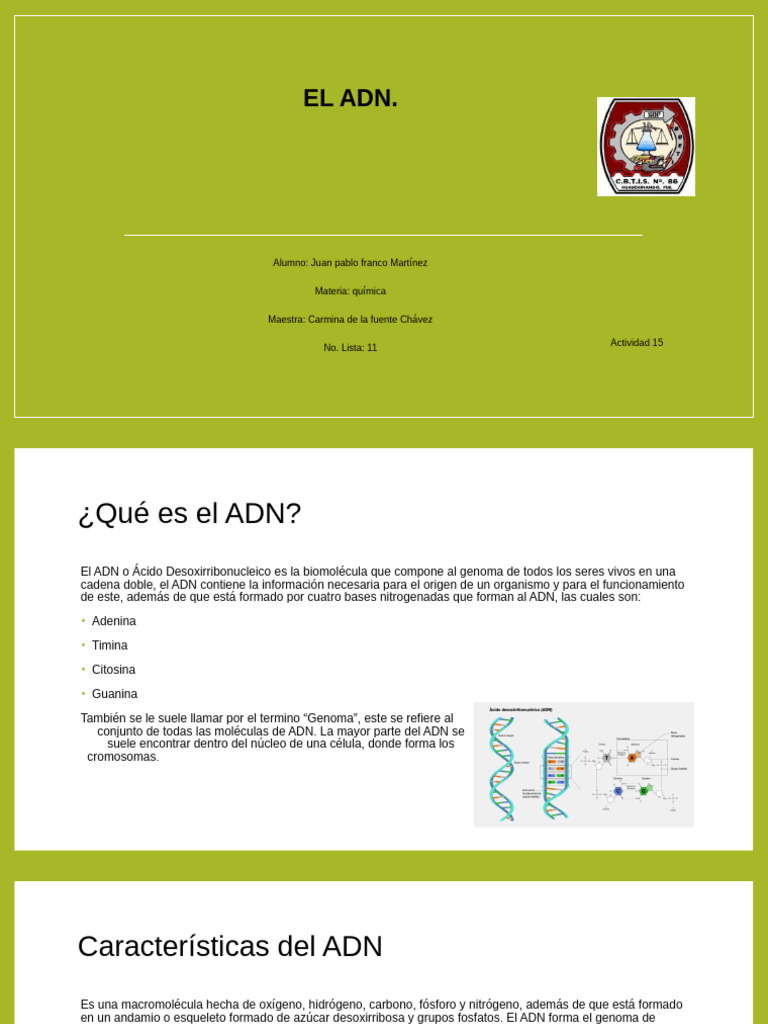 Innovaciones Del Adn | PDF | Adn | Organismos