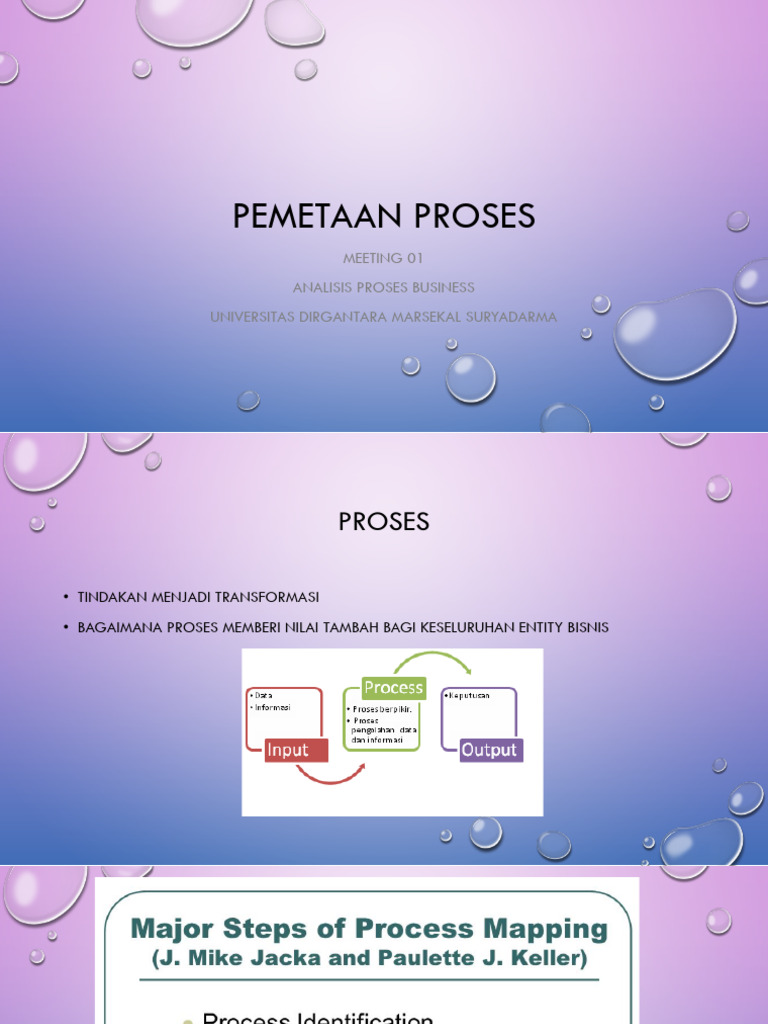 APB Meeting 01 Process Mapping | PDF