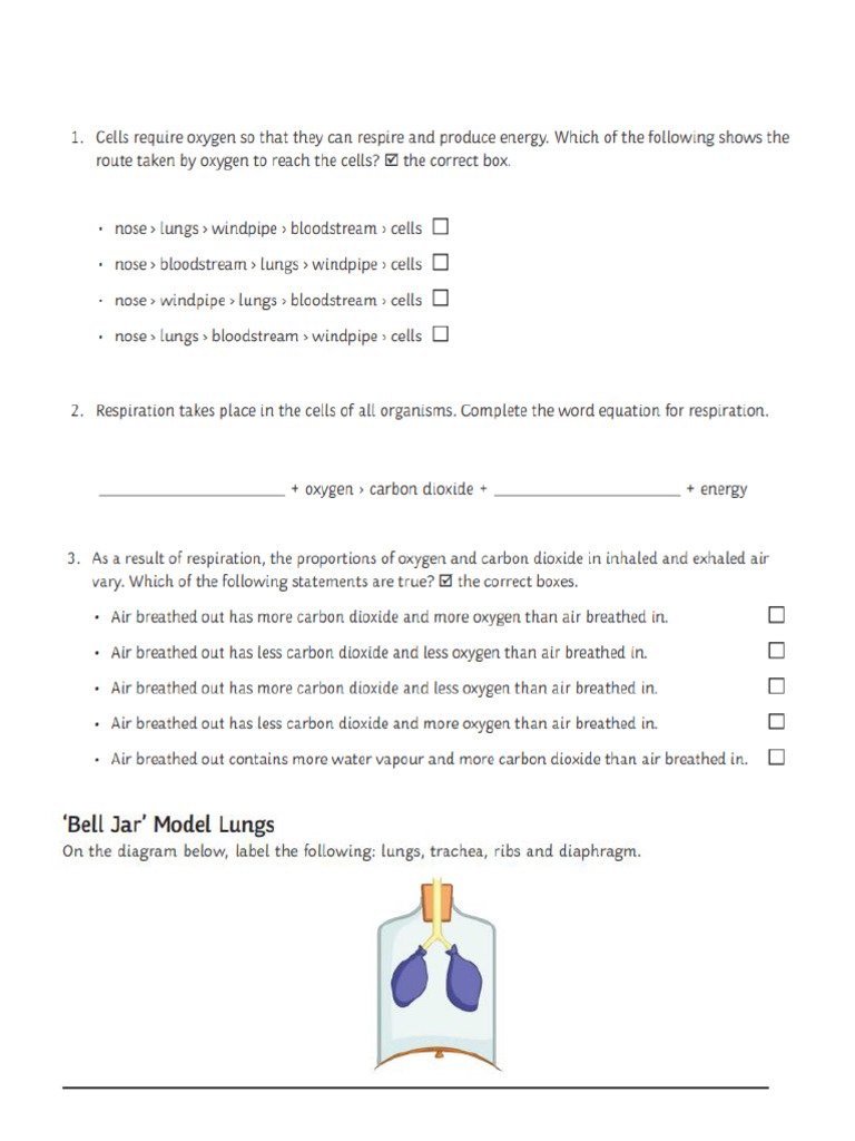 Unit 1 Revisions (1) | PDF