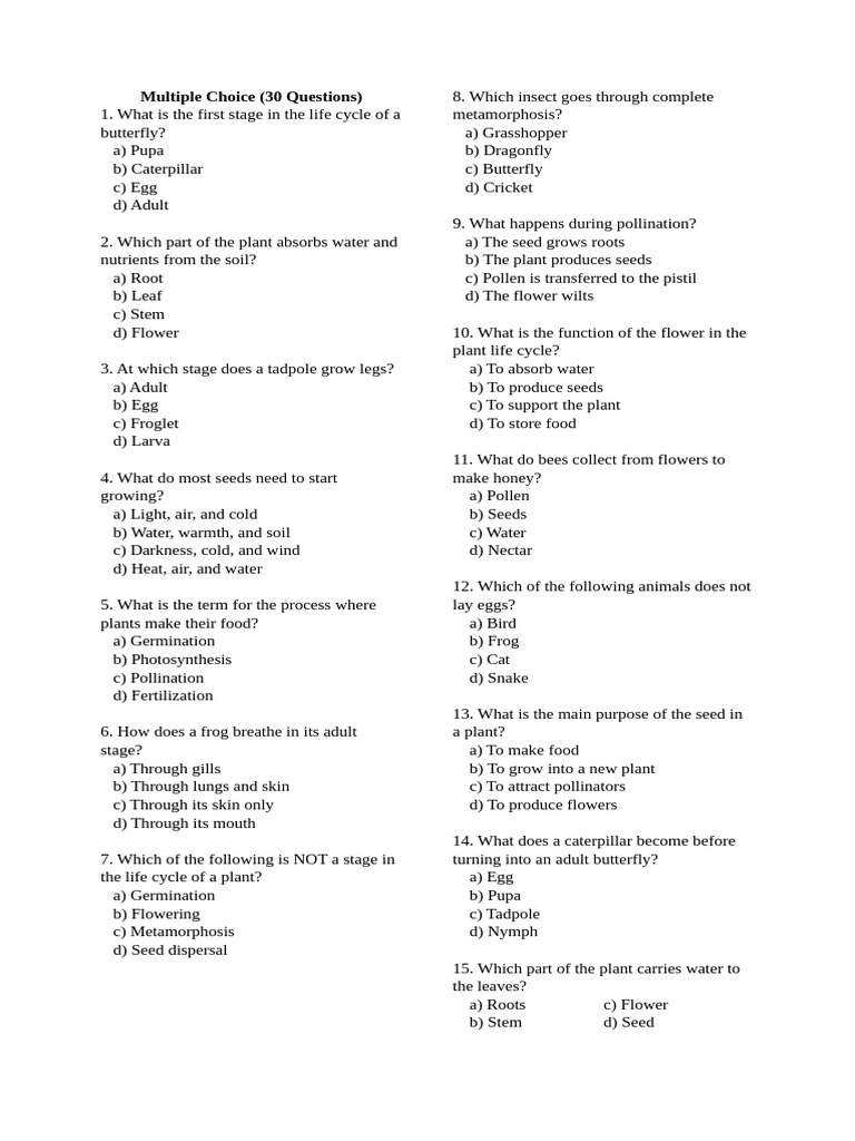 Life Cycle and Plant Growth Quiz | PDF | Flowers | Plants