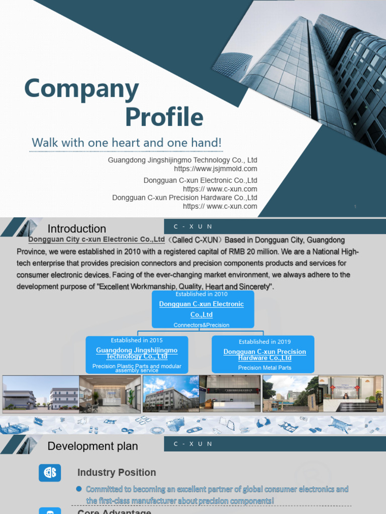 Dongguan C-xun Company Overview | PDF | Electrical Connector | Battery ...