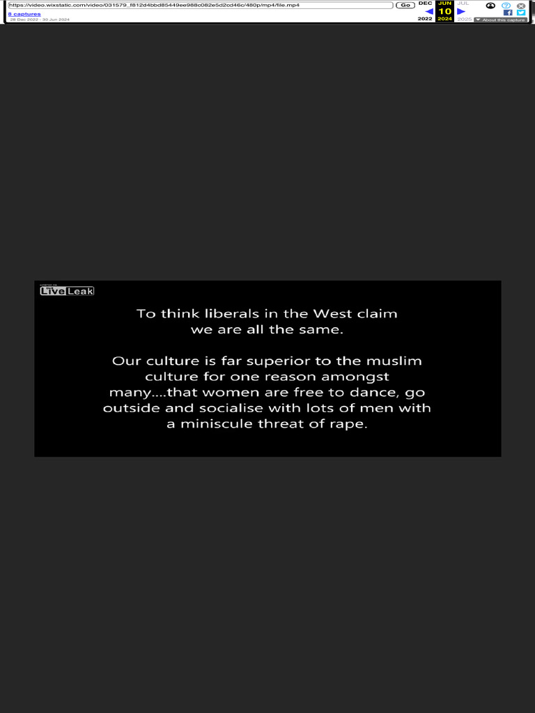 Wayback Machine | PDF