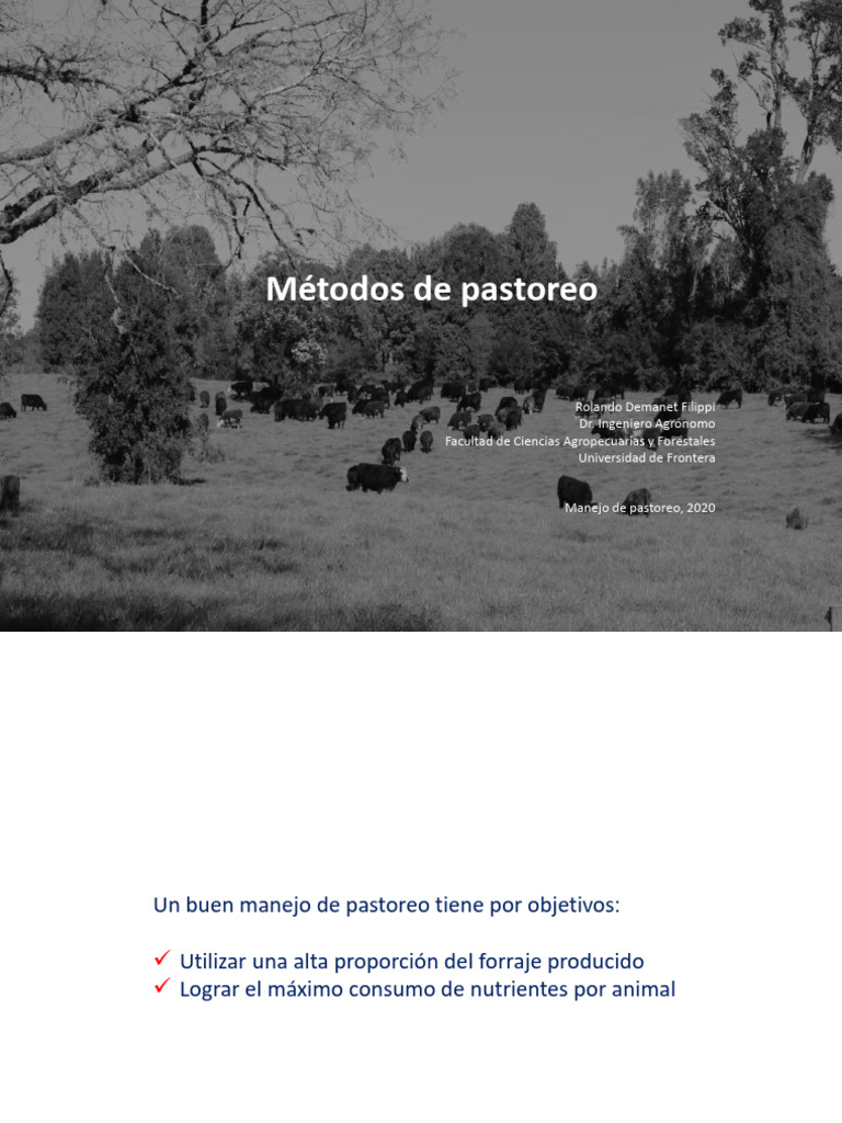 02.-Metodos de Pastoreo | PDF | Pasto | Pasto