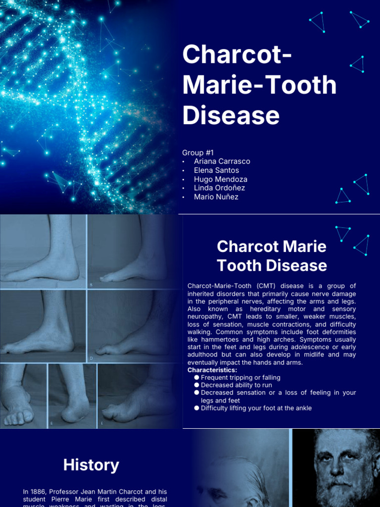Charcot-Marie-Tooth Disease Guide | PDF | Diseases And Disorders ...