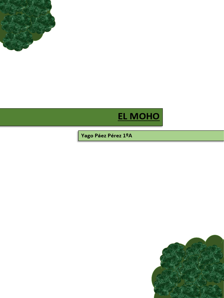 Trabajo Moho | PDF | Ciencia y matemáticas