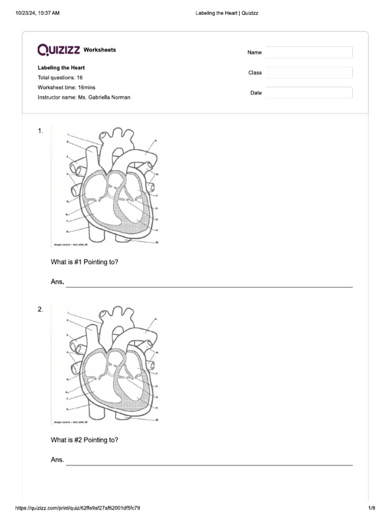 Heart | PDF