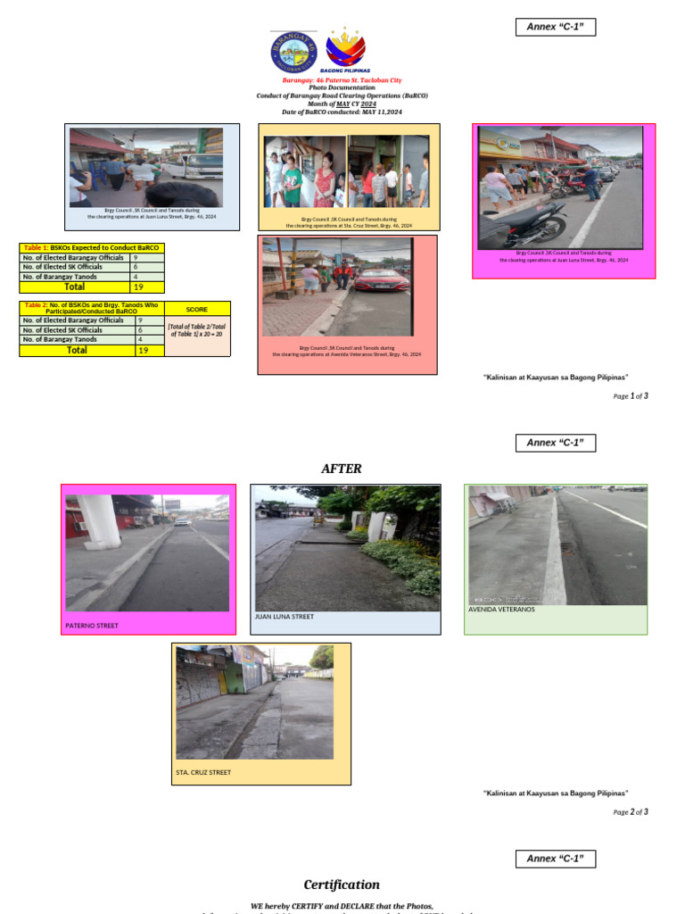 Annex C 1 Photo Documentation Barangay BaRCO Monthly Monitoring Report Template With BSKO ...